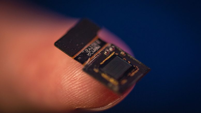 Microscope News - SciTechDaily