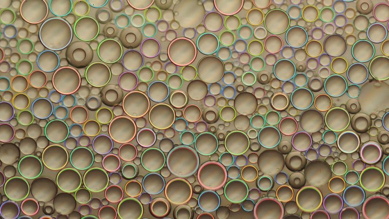 Mesmerizing: Watch Water Droplets Merge on the International Space Station
