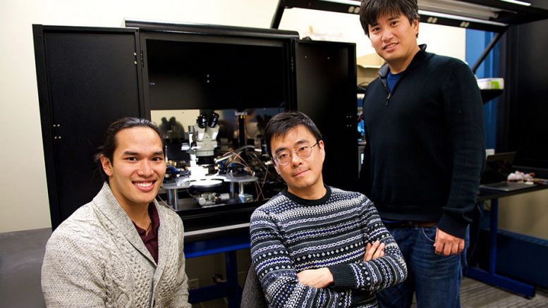 Neuromorphic Chips: Microchips that Imitate the Brain