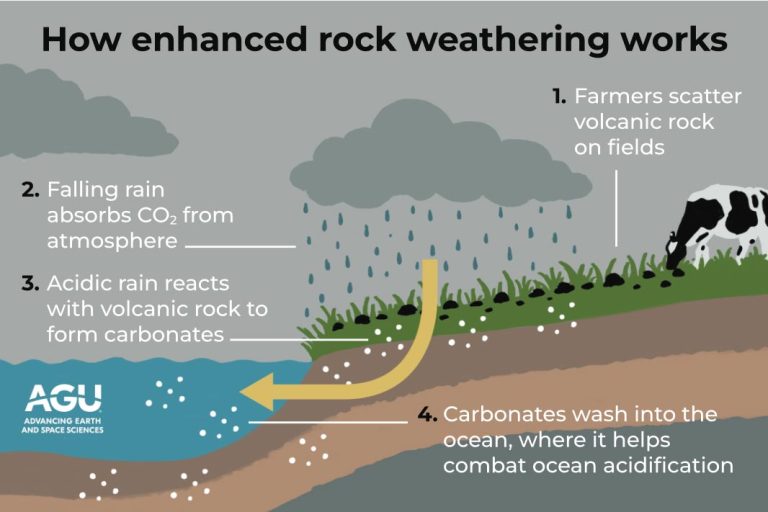 "Planting" Volcanic Rocks in Farm Fields Could Be a Game Changer for ...