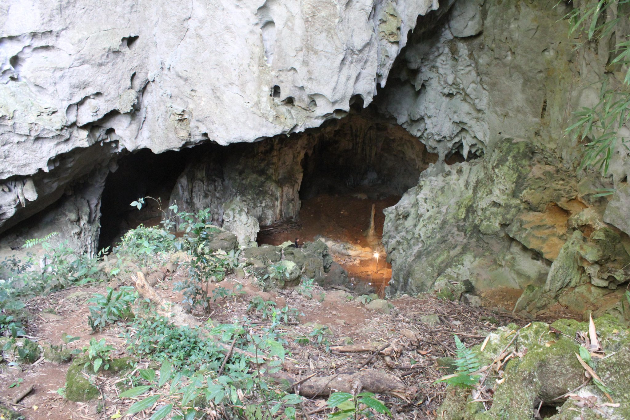 Ancient Cave Reveals New Secrets of Our First Ancestors