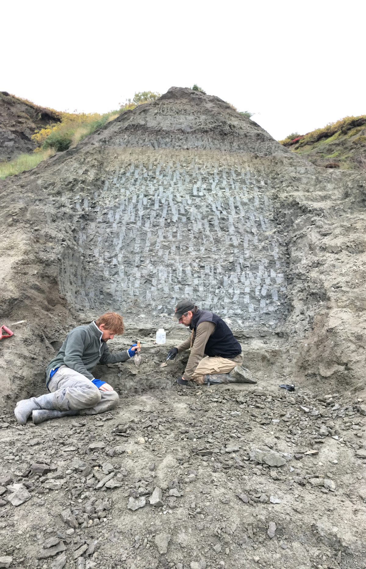 73-Million-Year-Old Discovery Reveals Arctic Birds Nesting With Dinosaurs