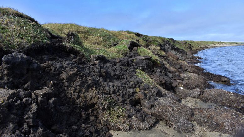 Earth & Climate News - Page 42 of 151 - SciTechDaily