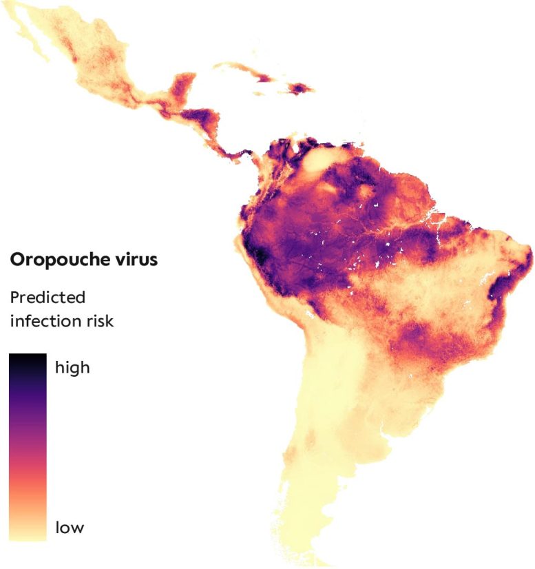 Potential Global Threat: This Mysterious Virus Is Spreading Quietly ...