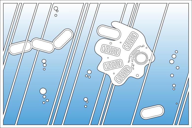 Complex Life Started Nearly a Billion Years Earlier Than We Thought