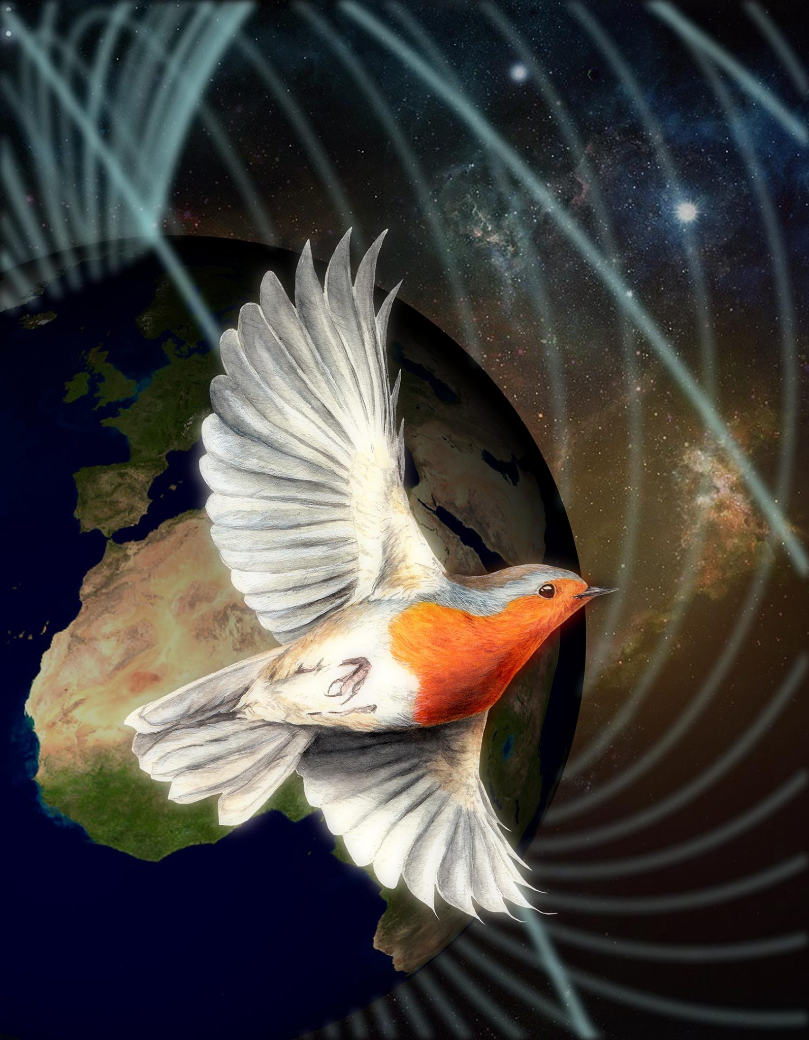 Quantum Birds: Breakthrough Discovery on Mechanism of Magnetic Sensing ...