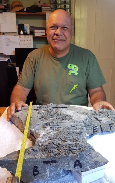 Century-Old Fossil Mystery Solved: Scientists Discover True Identity of ...