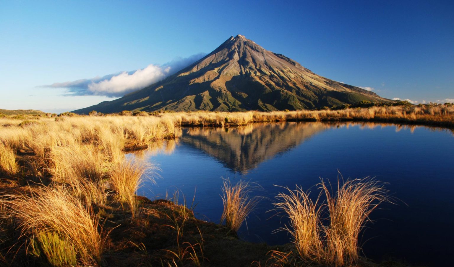 Mystery and Majesty: Exploring Mount Taranaki’s Iconic Volcanic Forest