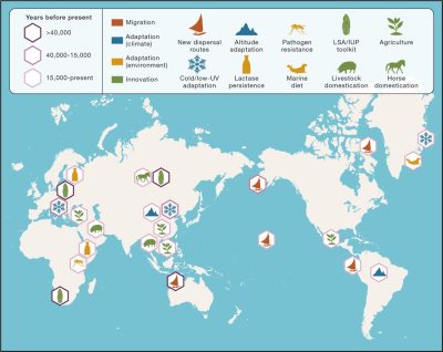 Becoming Human: What Ancient DNA Tells Us About Who We Are