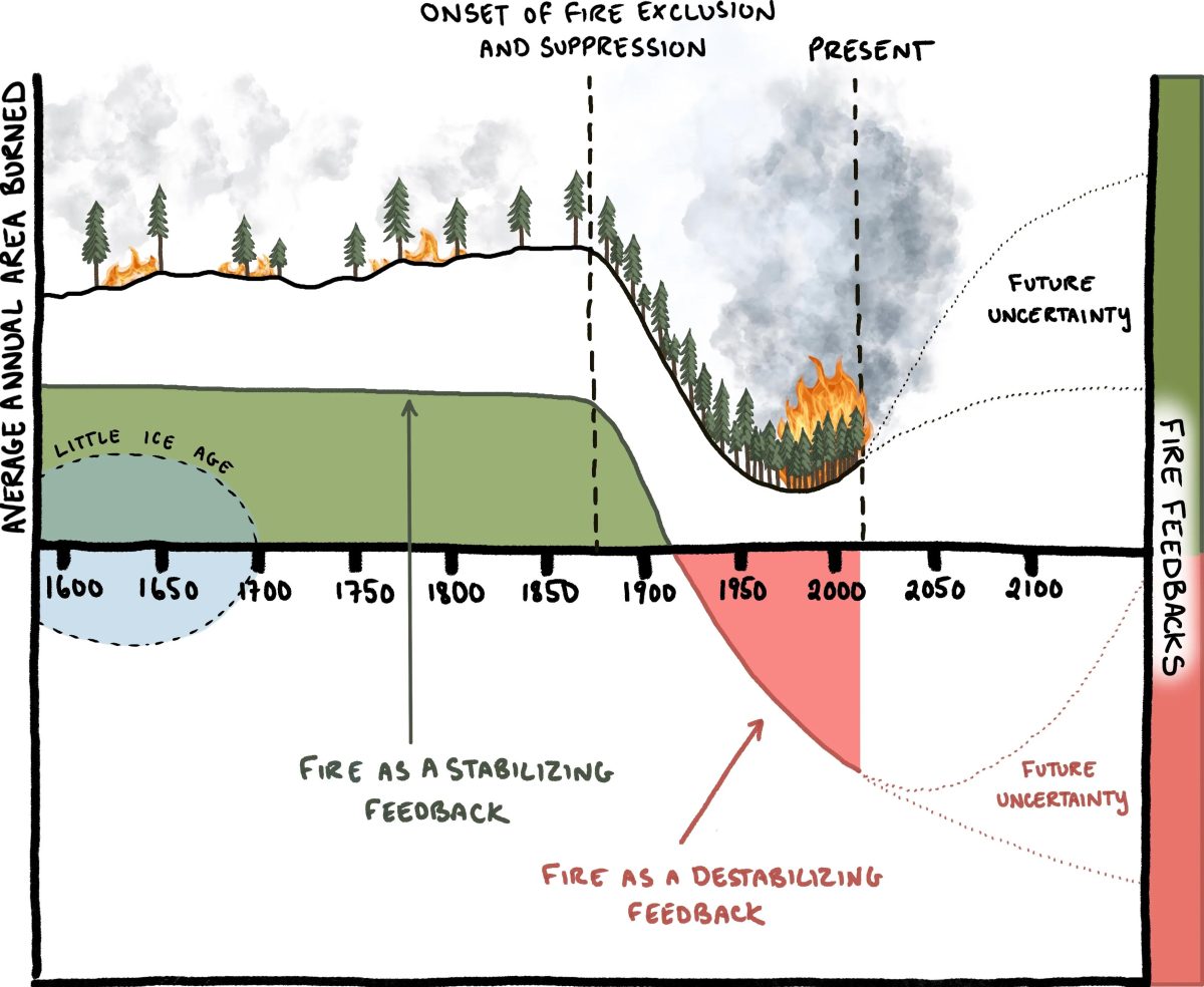 We’re Having Fewer Forest Fires – And That’s a Big Problem