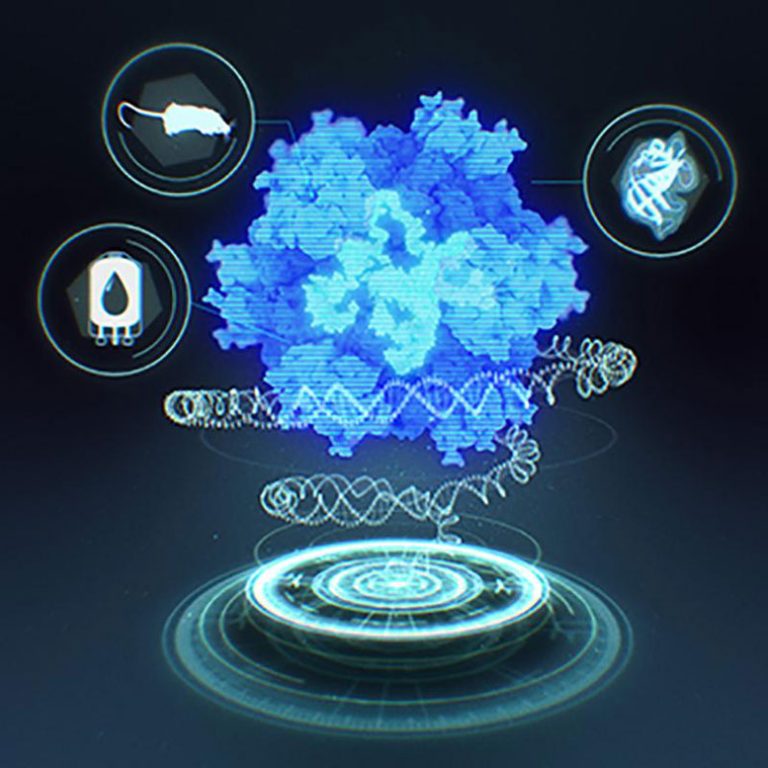 Synthetic Protein Assemblies Encapsulate Their Own Genetic Materials ...