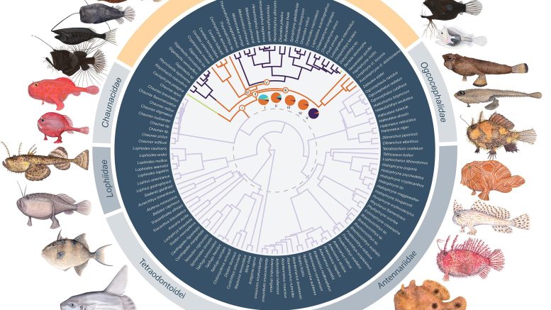 Latest Biology News & Discoveries: Cutting-Edge Research in Life ...