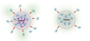 New Fundamental Law Stipulates the Evolution of Galaxy Clusters