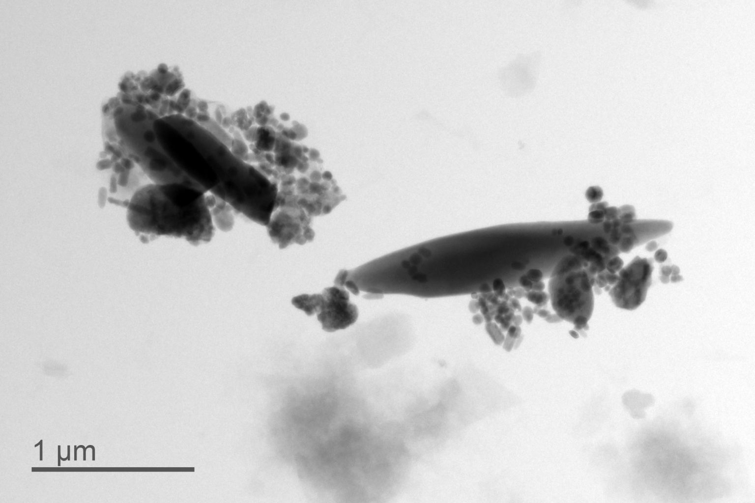 Tiny Magnetic Particles in Microscopic Fossils Record Ancient Climate ...