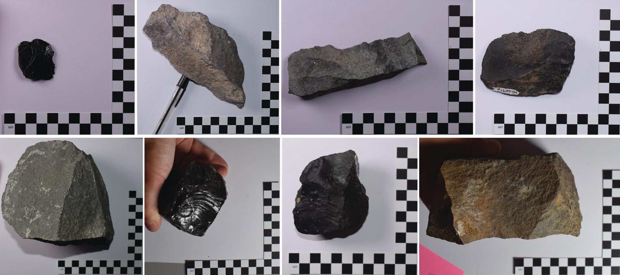 Rewriting History: Researchers Rethink the Origin of Stone Tools