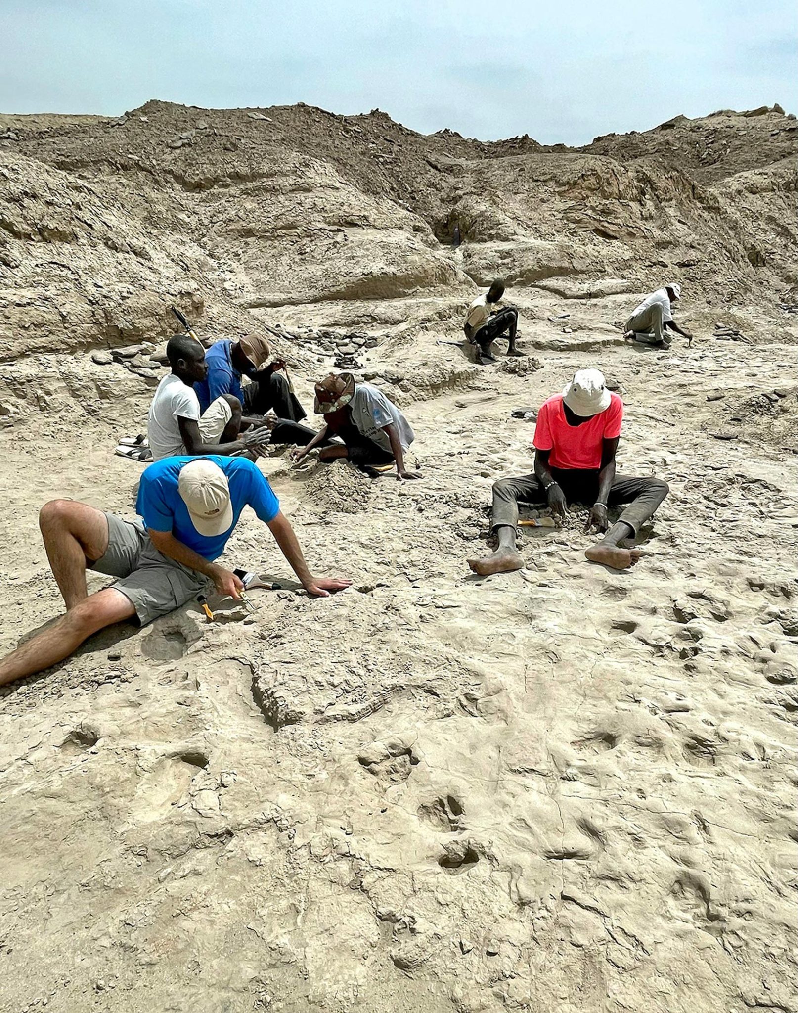 1.5 Million-Year-Old Tracks Reveal Unexpected Coexistence of Two Human Ancestors