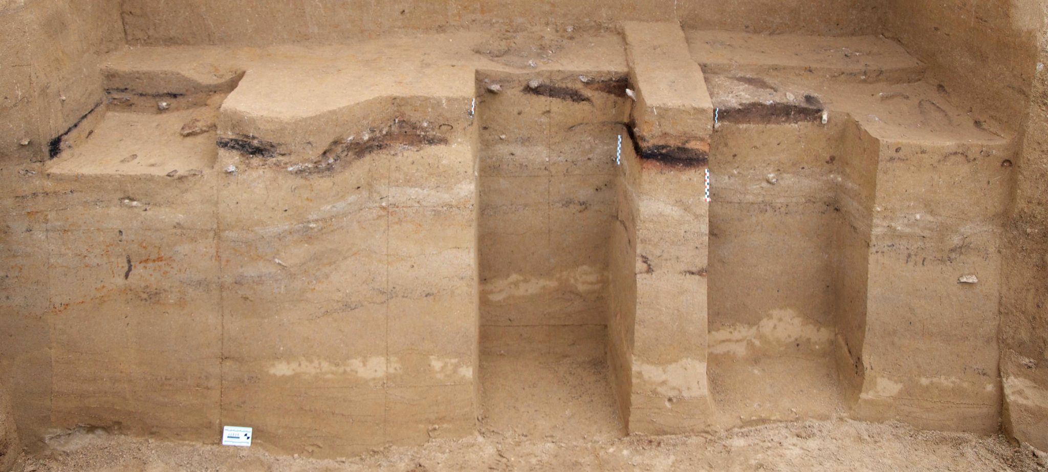 Ice Age Mystery: New Research Reveals How Humans Made Fire Tens of ...