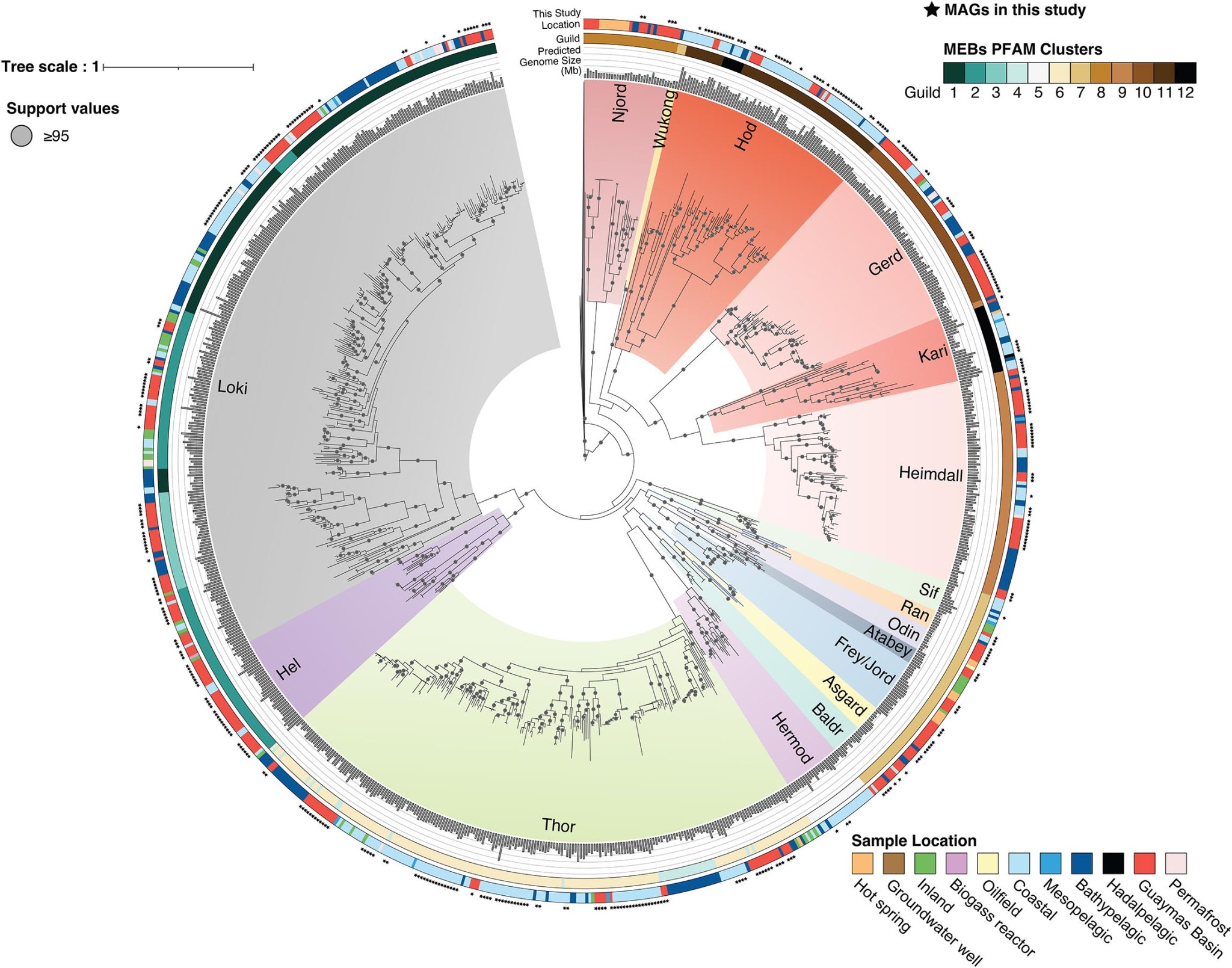 Deep-Sea Microbes Reveal How Complex Life Began