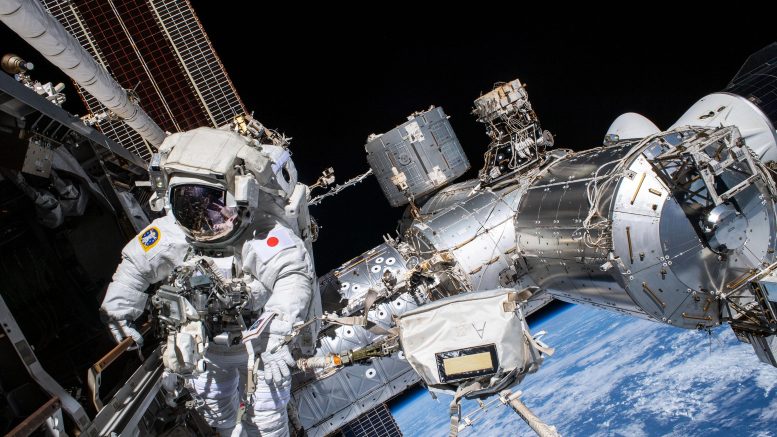 Power Leap: NASA Spacewalkers Successfully Install New Solar Array on ISS
