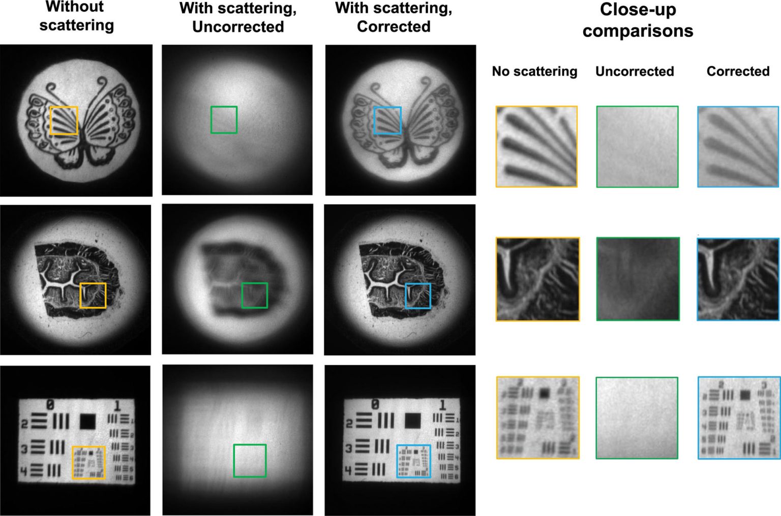 Solving a “Holy Grail” Optical Imaging Problem – Scientists Develop Neural Wavefront Shaping Camera