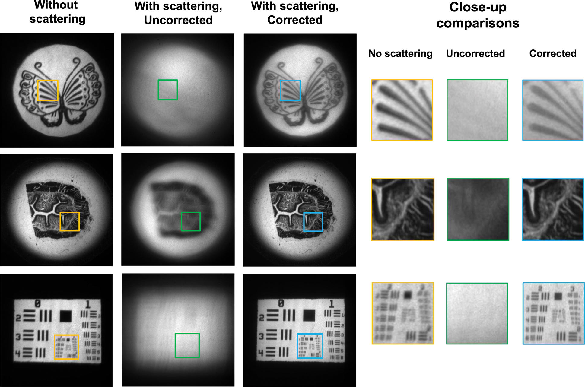 Solving a “Holy Grail” Optical Imaging Problem – Scientists Develop Neural Wavefront Shaping Camera