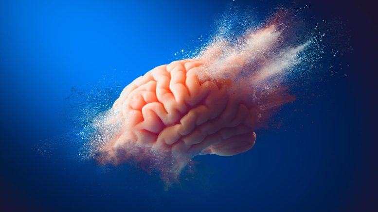 New Hubble Image of Quasar 3C 273