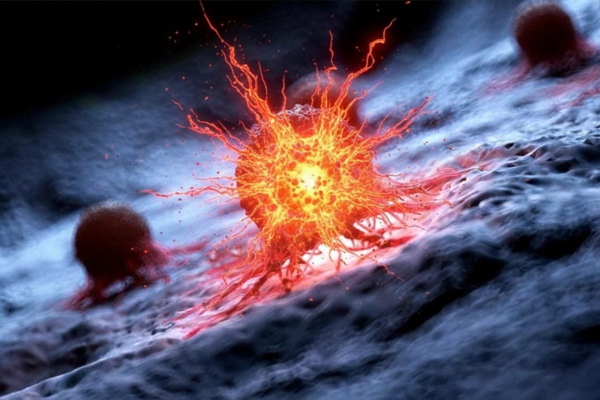 New Discovery Exposes the Hidden Weak Spot Cancer Uses to Survive DNA ...