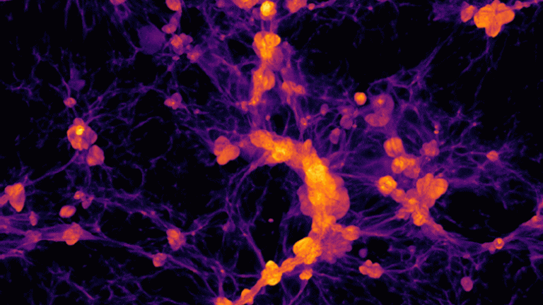 Mira Supercomputer Will Run Simulation of Our Universe