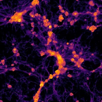 Extreme-Horizon: Understanding the “Dark” Universe and Primordial ...