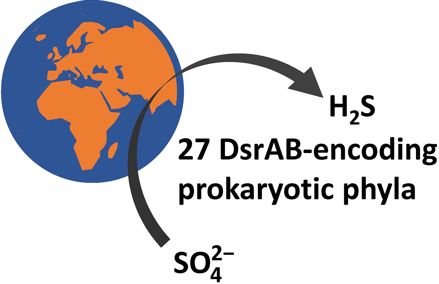 Die Entdeckung eines 3-in-1-Mikroorganismus stellt Lehrbücher auf den Kopf