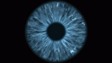 Your Eyes Can Reveal if You’ve Suffered a Traumatic Experience in the Past