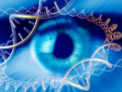 “Best Yet” – New Genetic Test for Glaucoma Is 15x More Likely to Detect ...