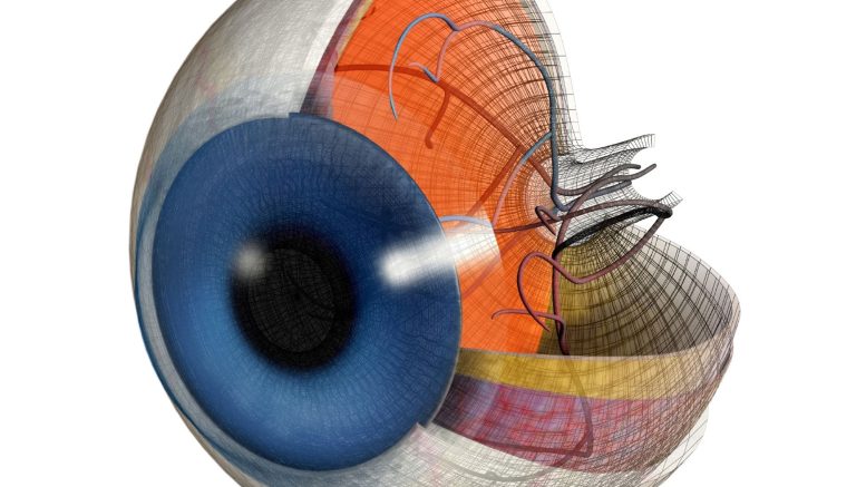 A New Genetic Eye Disease Has Been Discovered