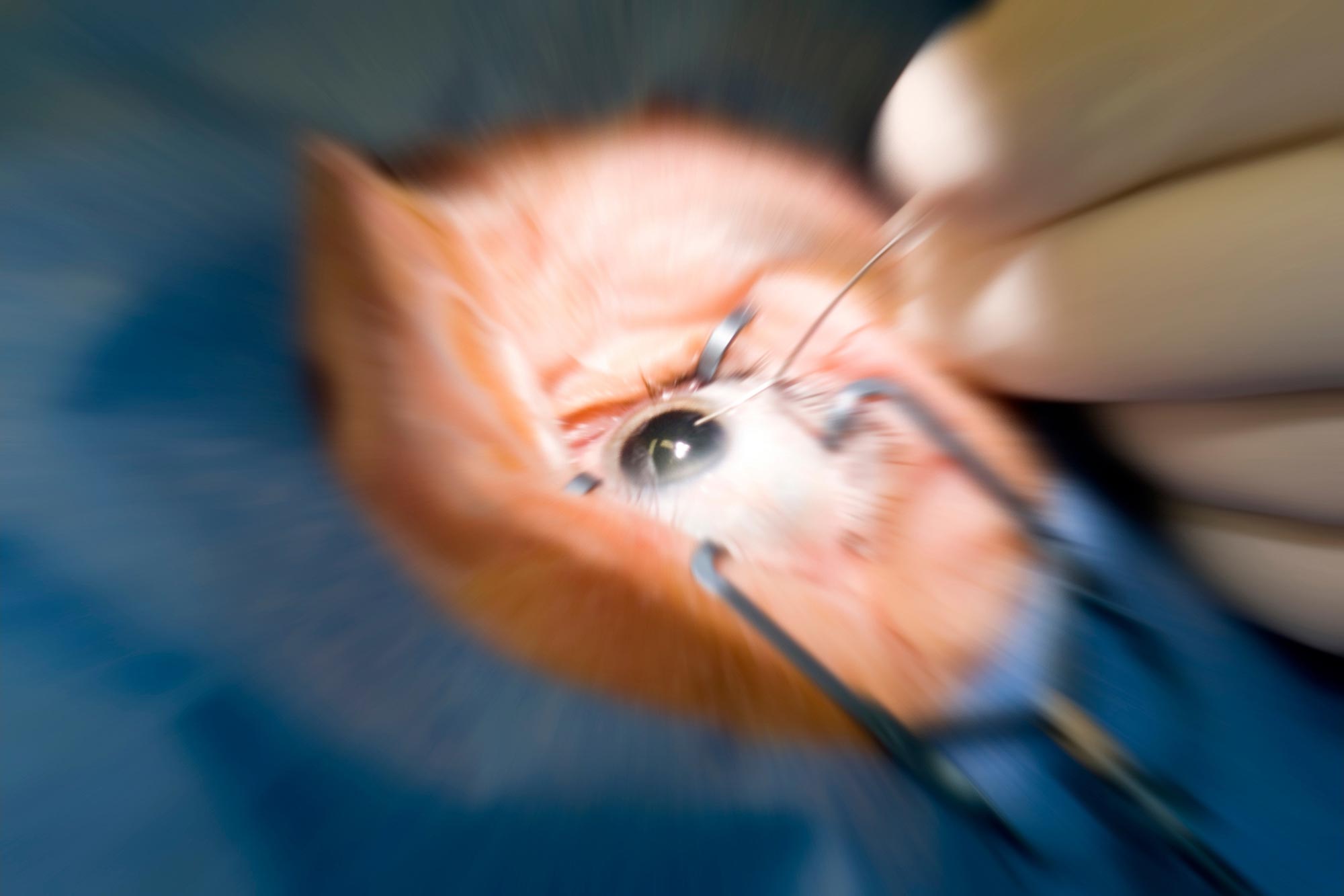 Not Harmless Toys: Paintball Guns Are More Dangerous Than Previously ...