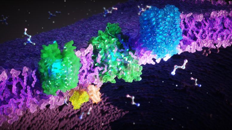 Latest Biology News & Discoveries: Cutting-Edge Research in Life ...