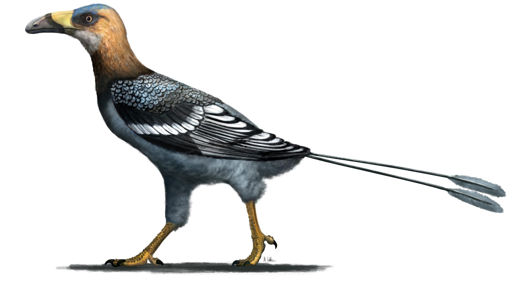 Diversidad oculta durante la era de los dinosaurios revelada por ...