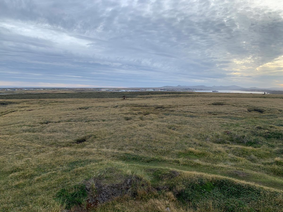 30-Million-Year-Old Forest Discovered Under Falkland Islands