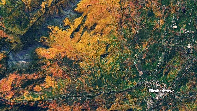 Neanderthal Home Made of Mammoth Bones Discovered