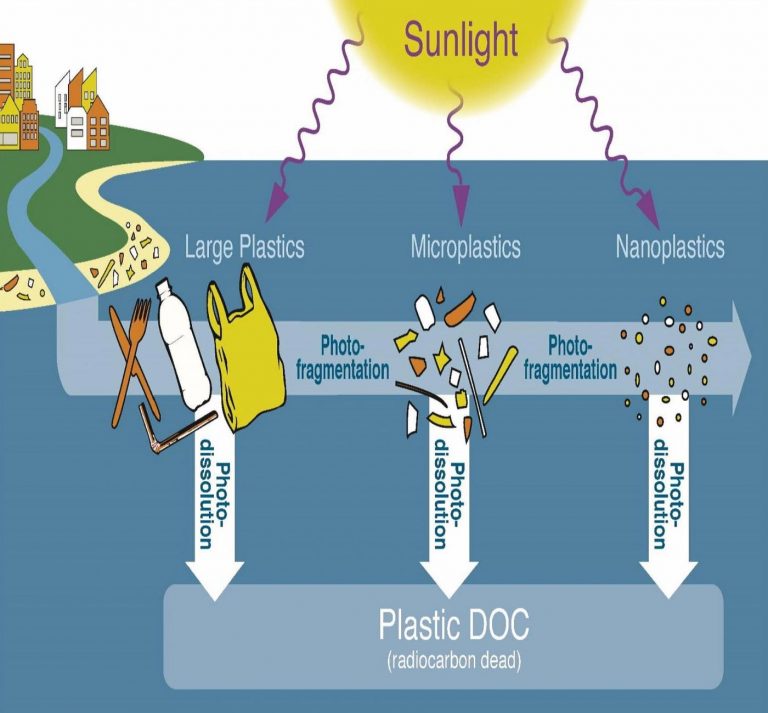 98% of Plastics Entering the Oceans Go Missing Each Year – Here’s the ...