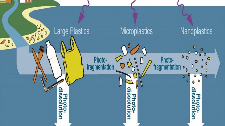 Scientists Thought It Took Thousands of Years for Plastic to Decompose ...