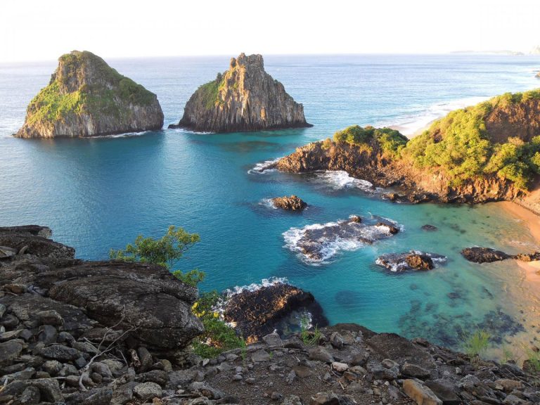 Scientists Make an Unexpected Discovery on a Volcanic Archipelago