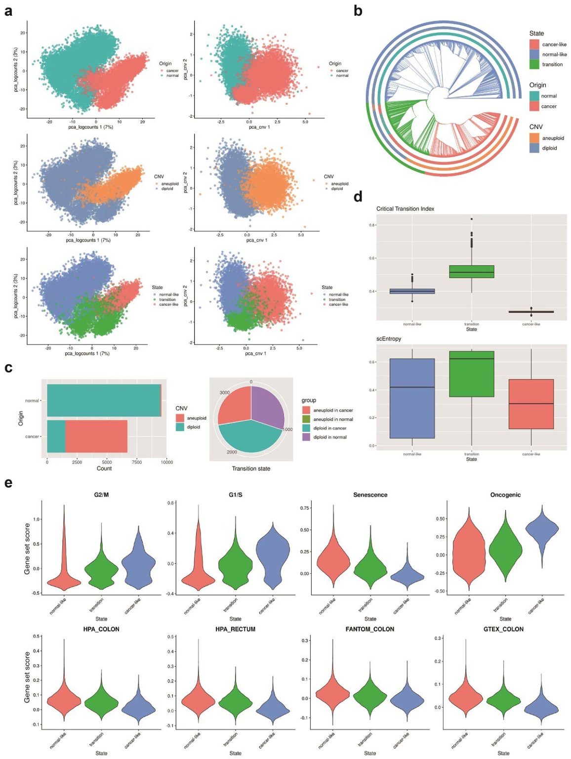 Scientists Discover Molecular Switch To Reverse Cancer