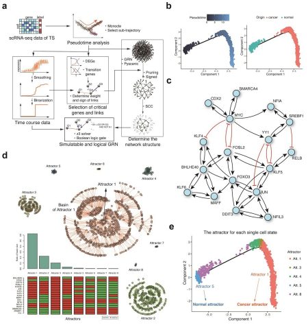 Scientists Discover Molecular Switch To Reverse Cancer