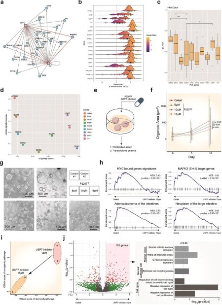 Scientists Discover Molecular Switch To Reverse Cancer