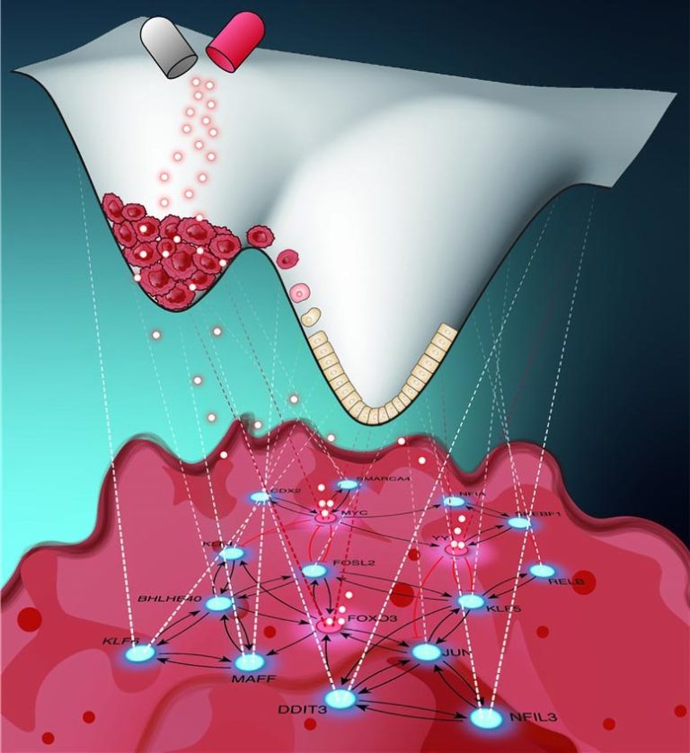 Scientists Discover Molecular Switch To Reverse Cancer