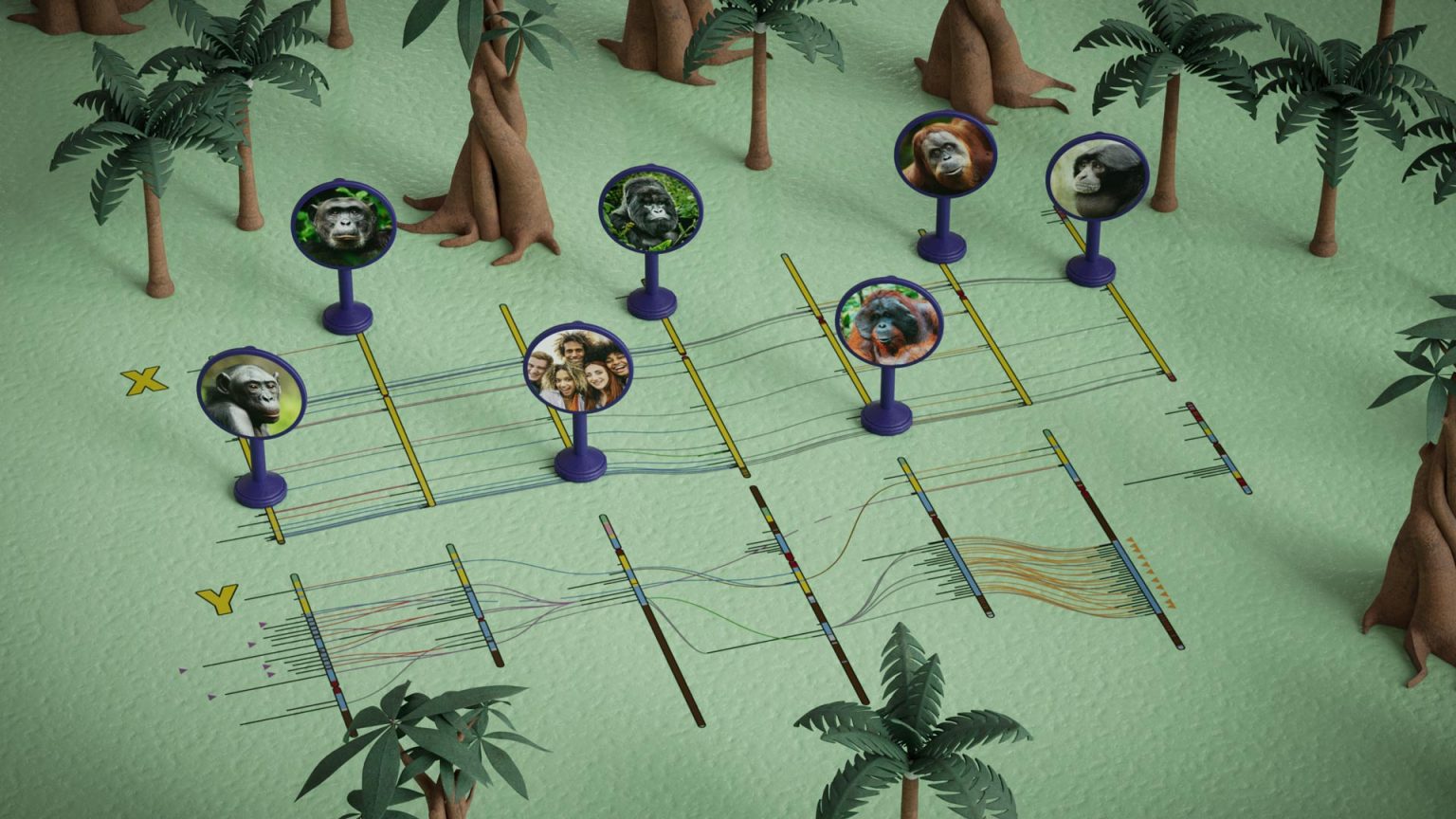 Surprising Evolutionary Insights Revealed by First Complete Chromosome ...