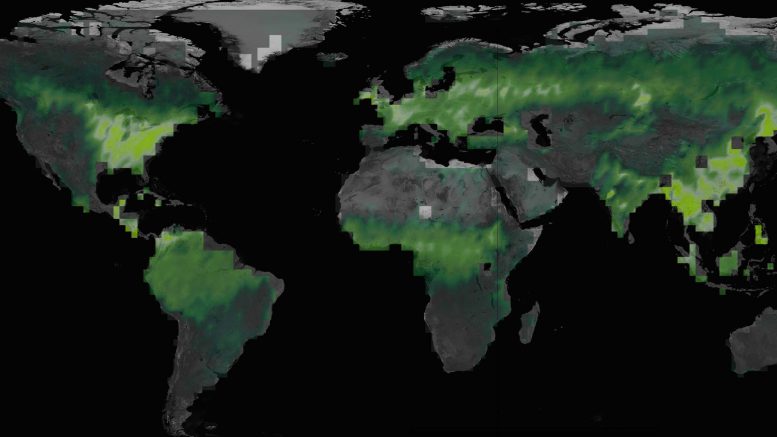 Earth & Climate News - Page 64 of 151 - SciTechDaily