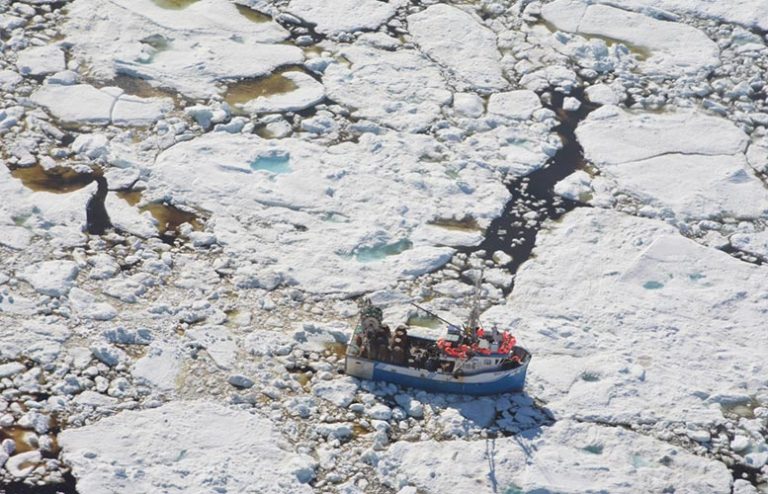 Arctic Sea Ice a Spring Hazard for North Atlantic Ships