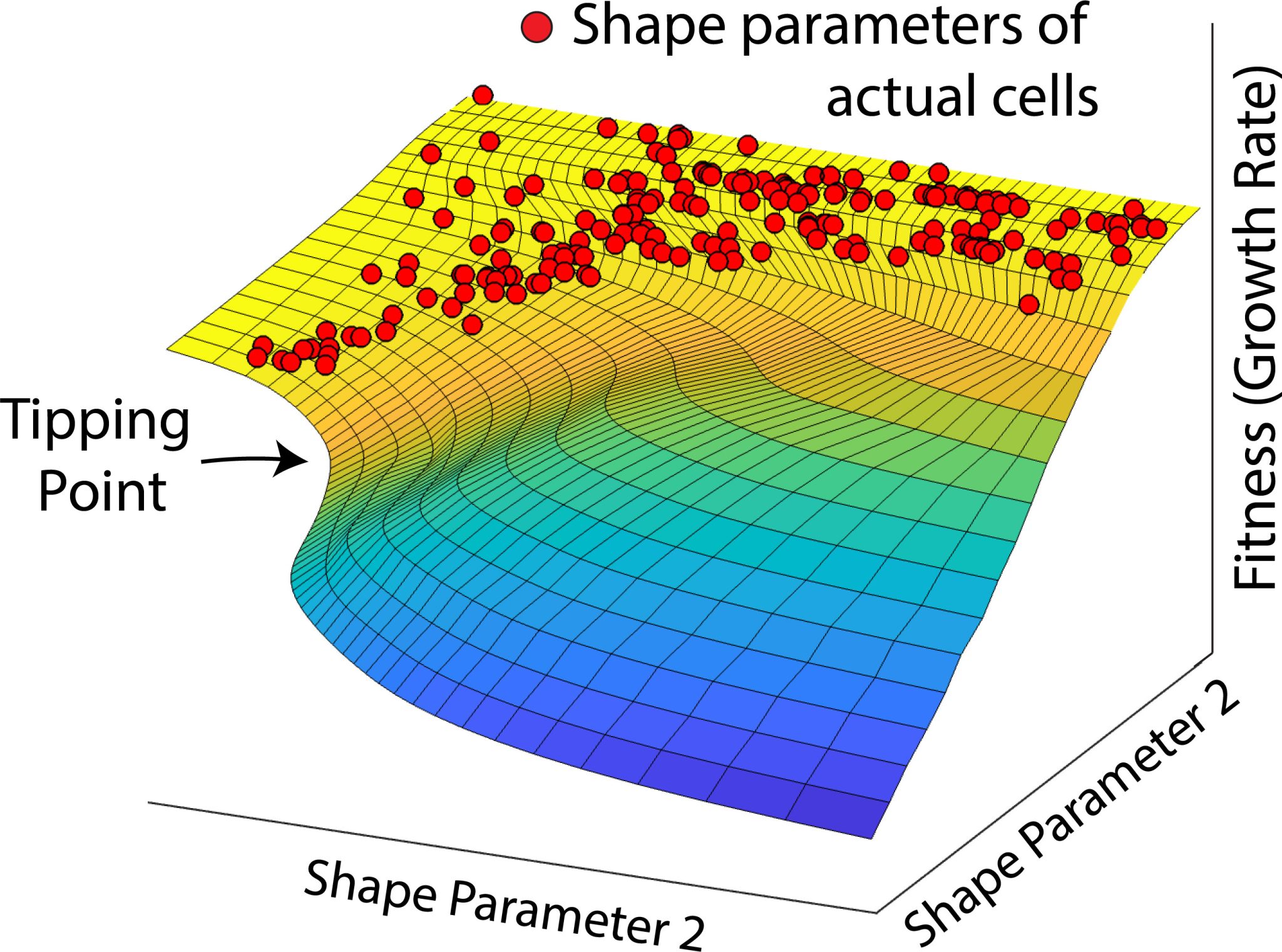 The Secret Behind Fungi’s Remarkable Growth: Scientists Have Discovered ...