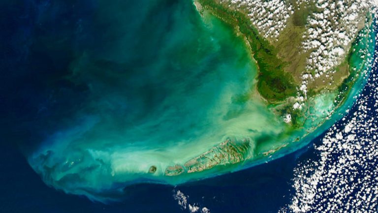 70% of Florida’s Coral Reefs Are Eroding